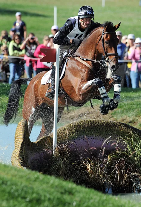 Mark Todd - The Chronicle of the Horse