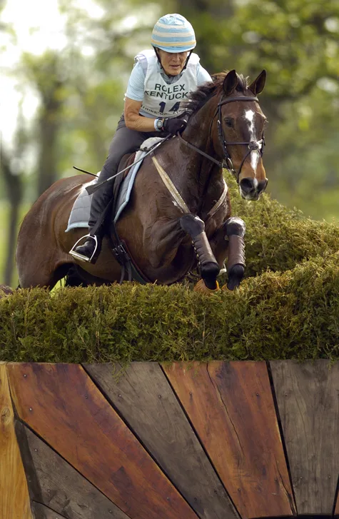 Jane Sleeper - The Chronicle of the Horse