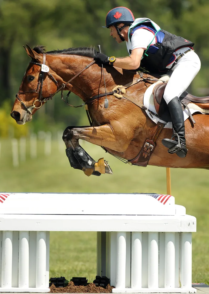 Peter Barry - The Chronicle of the Horse