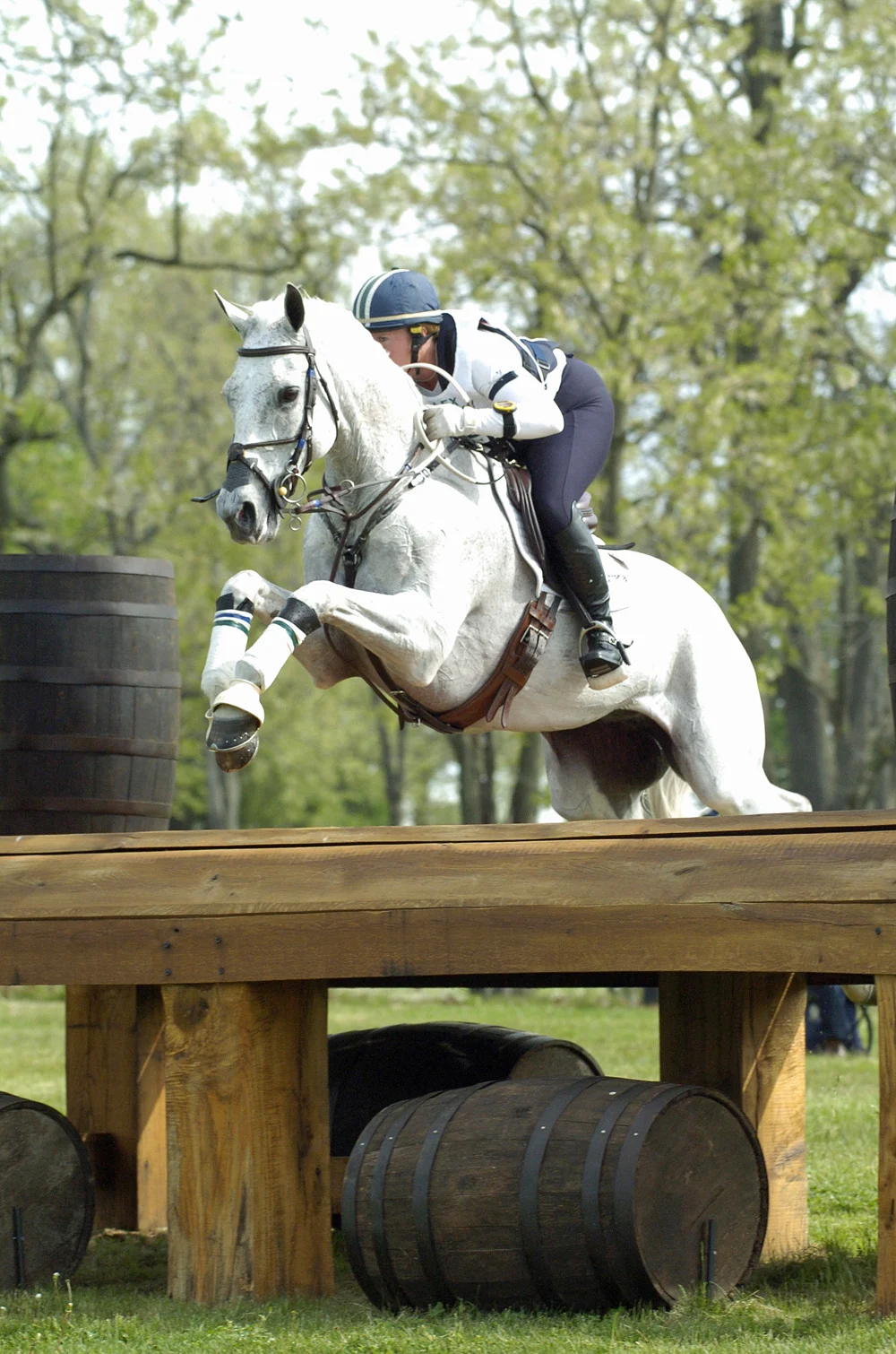 Becky Holder - The Chronicle of the Horse