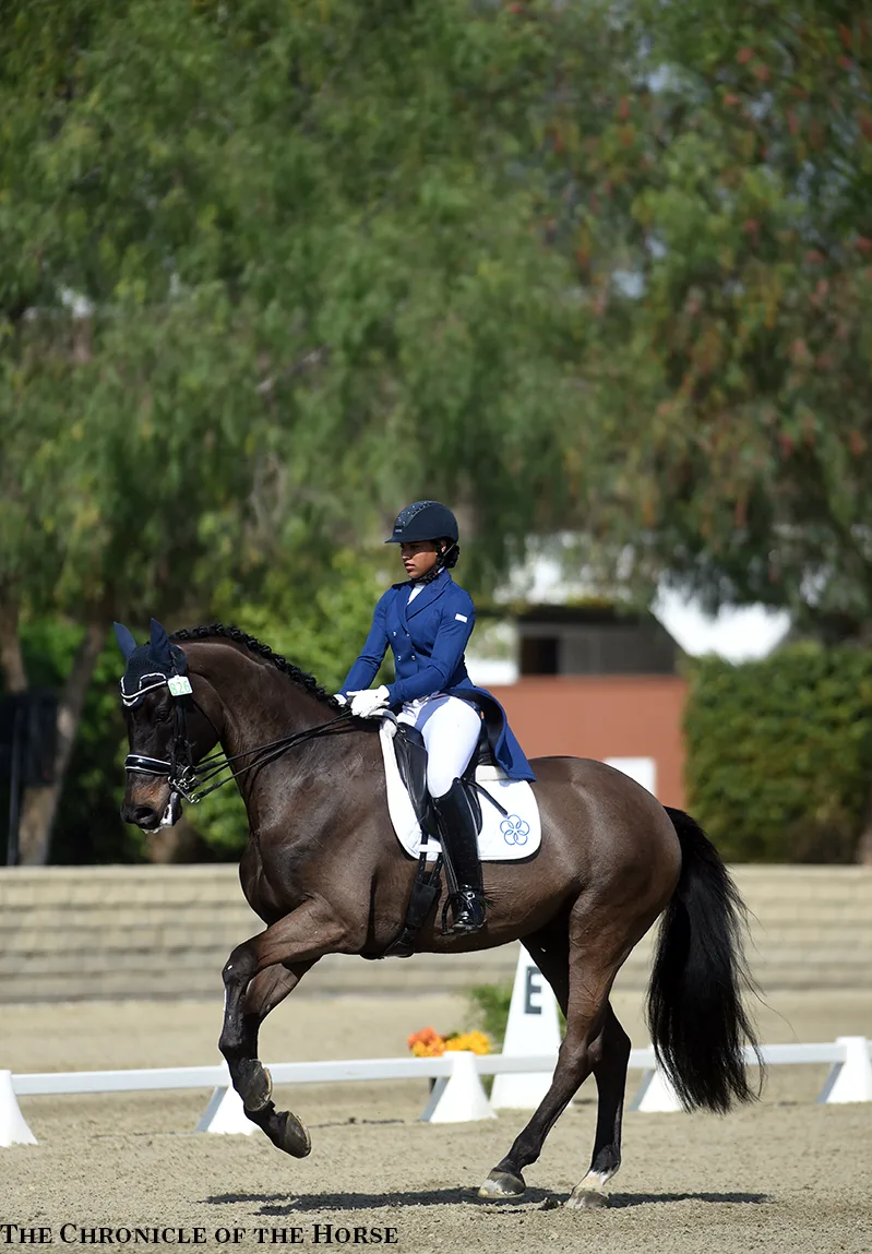 Sundayboy Shines In Sunday’s Burbank CDI-W Grand Prix Special - The ...