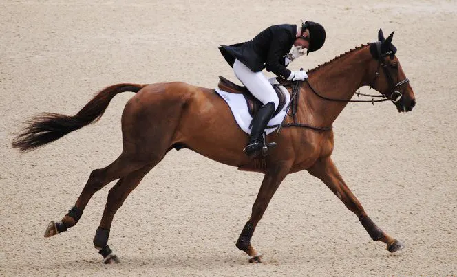 Reflecting On Rolex - The Chronicle of the Horse