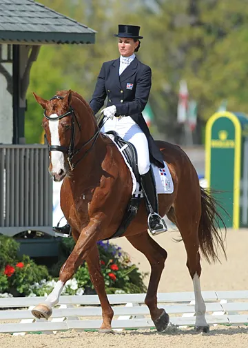 Dominican Republic Qualifies Rider For World Equestrian Games - The ...