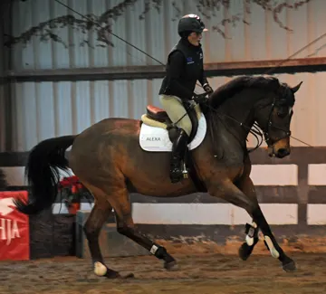 Alexa Anthony - The Chronicle of the Horse