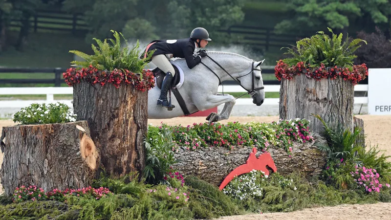 What You Need To Know: Platinum Performance USHJA International Hunter ...