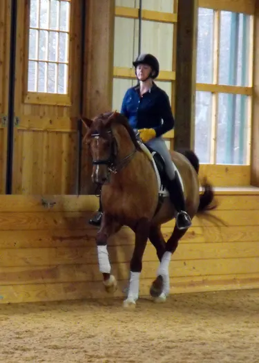 A Little Change Does Ella Good - The Chronicle of the Horse