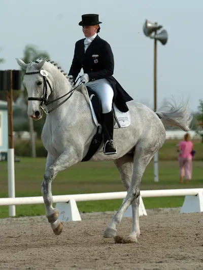 Living Upstairs - The Chronicle of the Horse