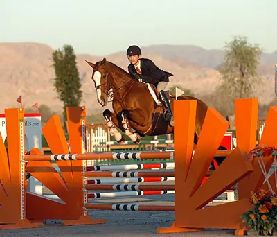 Theodore Boris - The Chronicle of the Horse