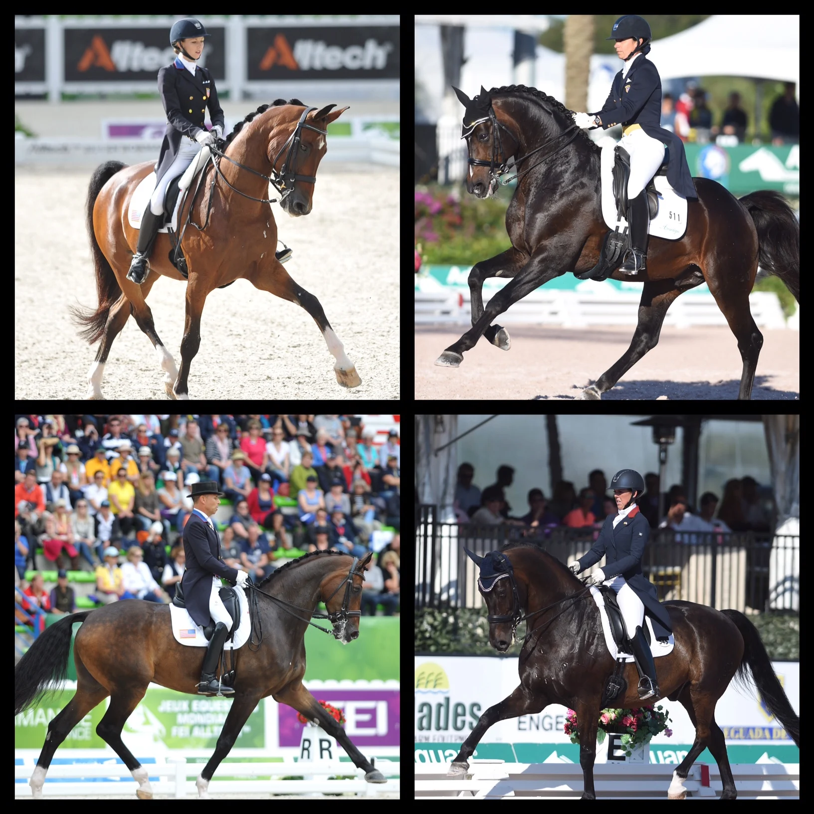 USEF Names Olympic Dressage Team For Rio - The Chronicle of the Horse