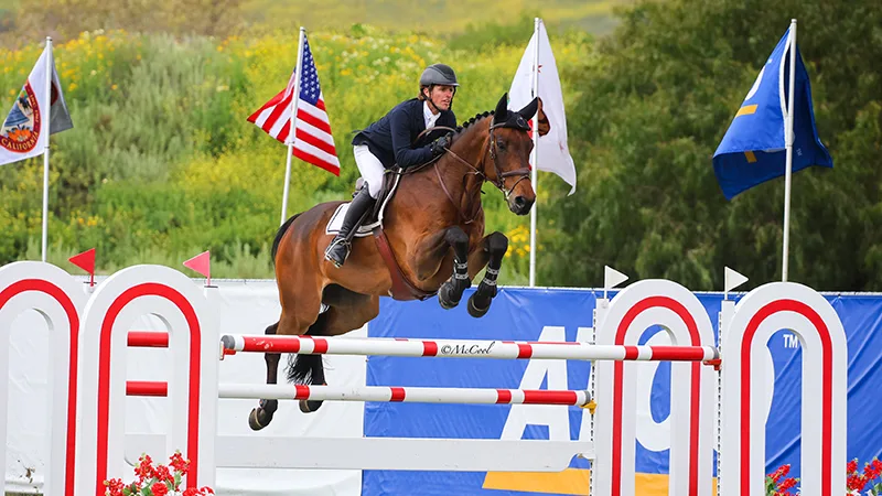 5 Questions With: Shawn Casady - The Chronicle of the Horse