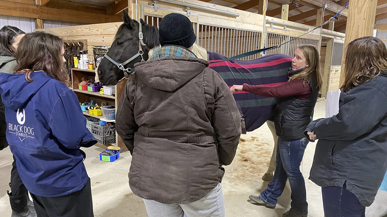 Let's Make Horsemanship The Cornerstone Of Lesson Programs - The ...