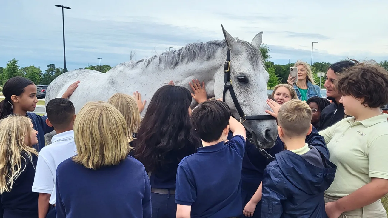 Inspiring Literacy With The Black Stallion - The Chronicle of the Horse