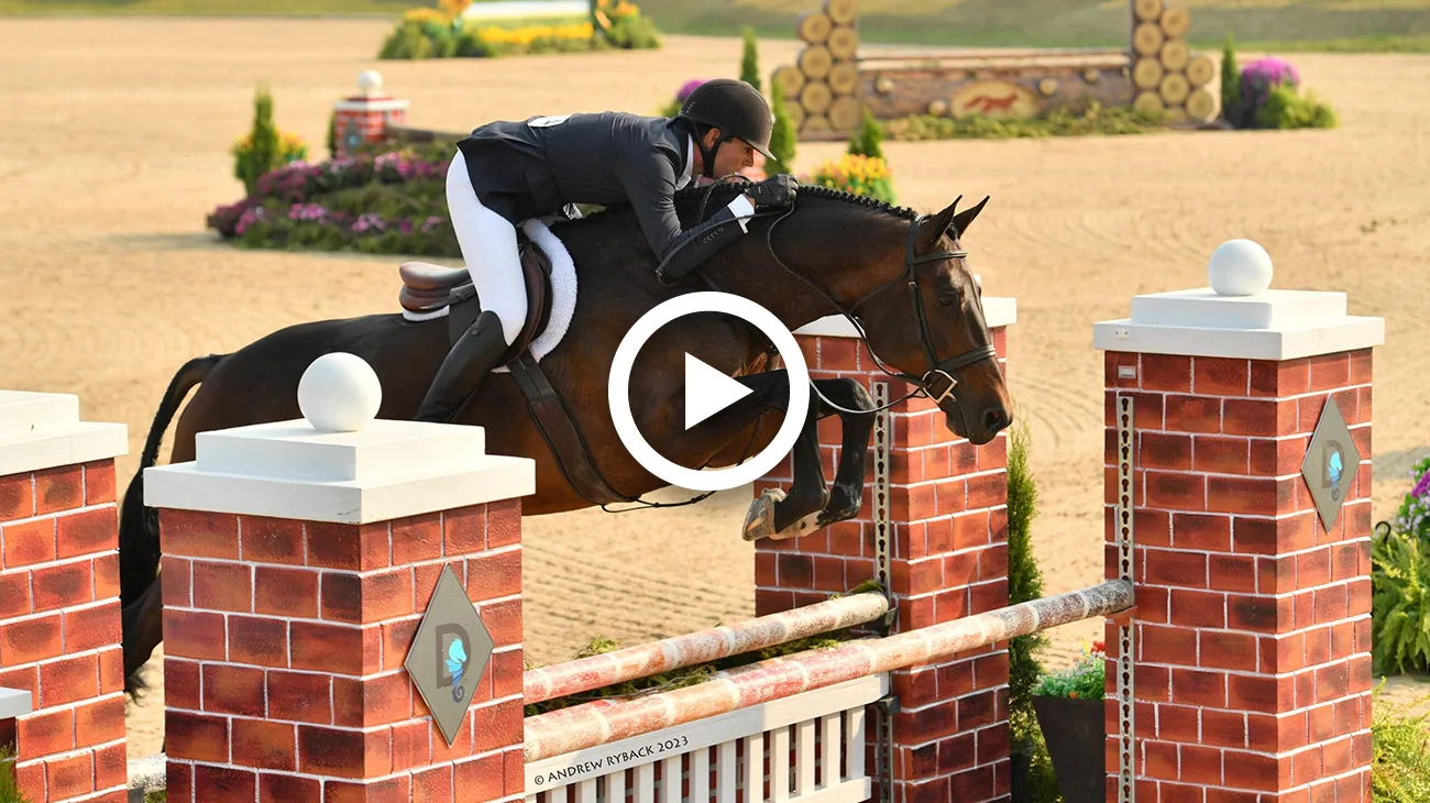 Watch Why They Won: Drumroll And Hesslink Top $100,000 Hunter ...