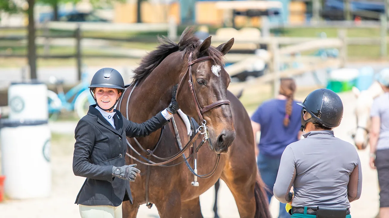 The Barn Rats Need Trainers Willing To Fight For Them - The Chronicle ...