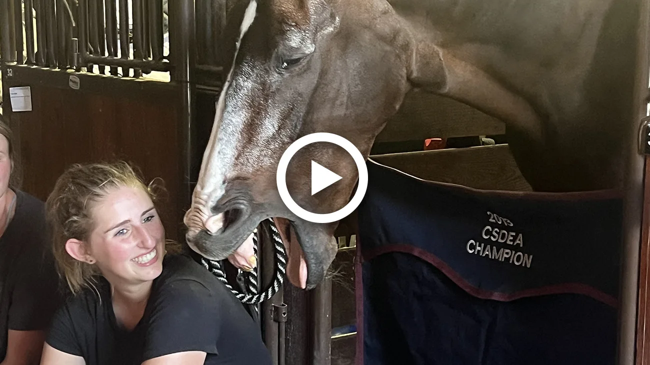 Festival Vlog: Practice Before Performance - The Chronicle of the Horse