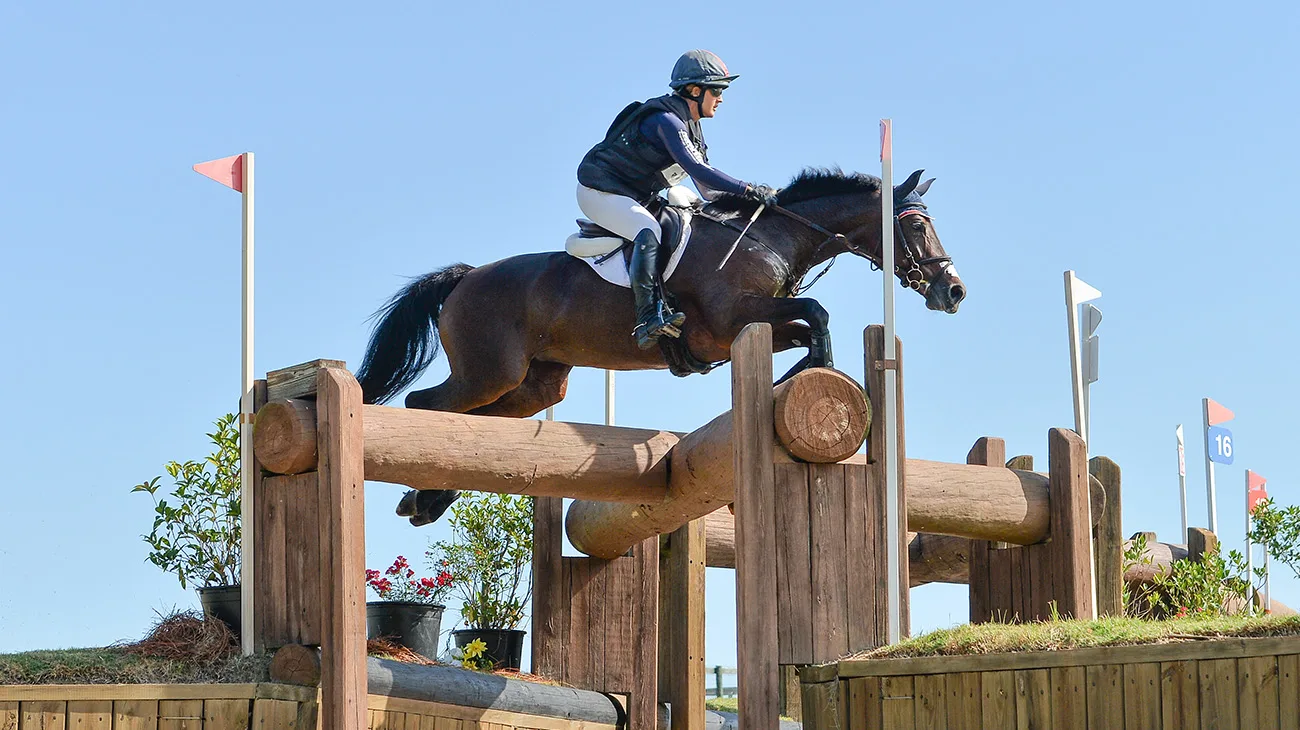 Ringside Chat: Springer's Talented String Earns Two FEI Wins At Stable ...