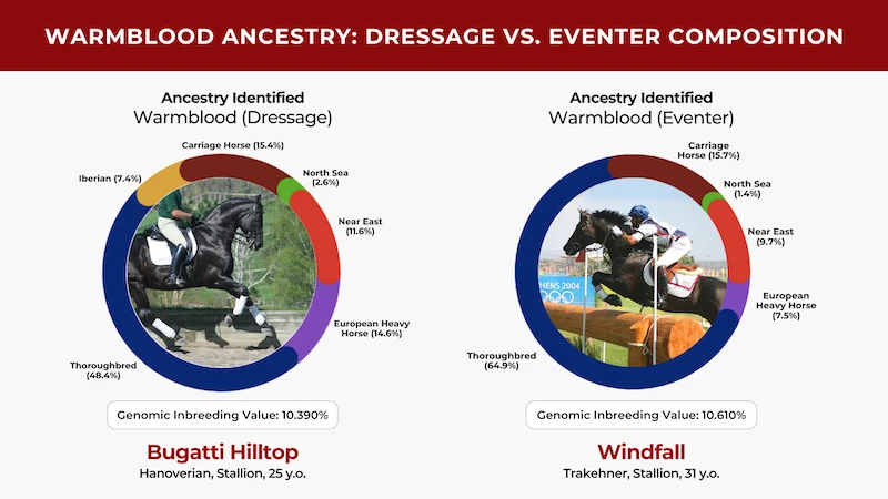 Inside Your Equine Athlete - Understanding the Genetics of Performance ...