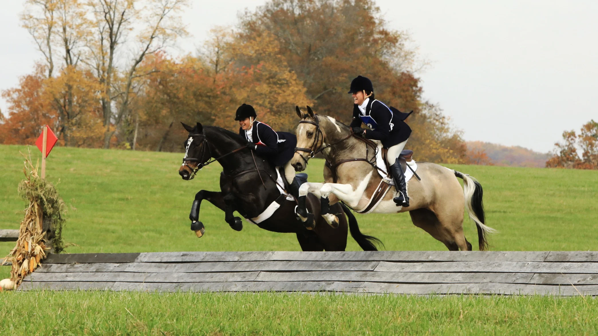 From Team Riders To Team Chase - The Chronicle of the Horse