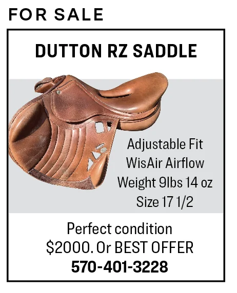 For Sale: DUTTON RZ SADDLE - The Chronicle of the Horse