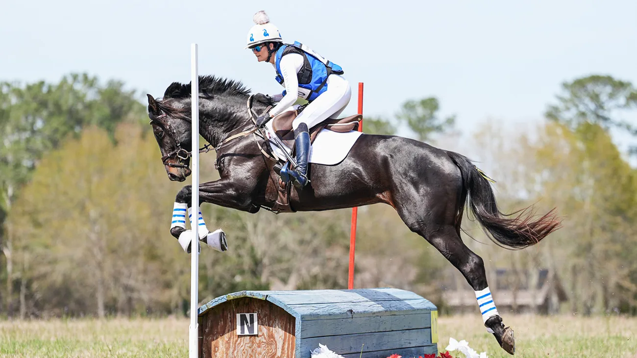 Road To The Makeover: Meet The Not-Quite-Black Stallion - The Chronicle ...