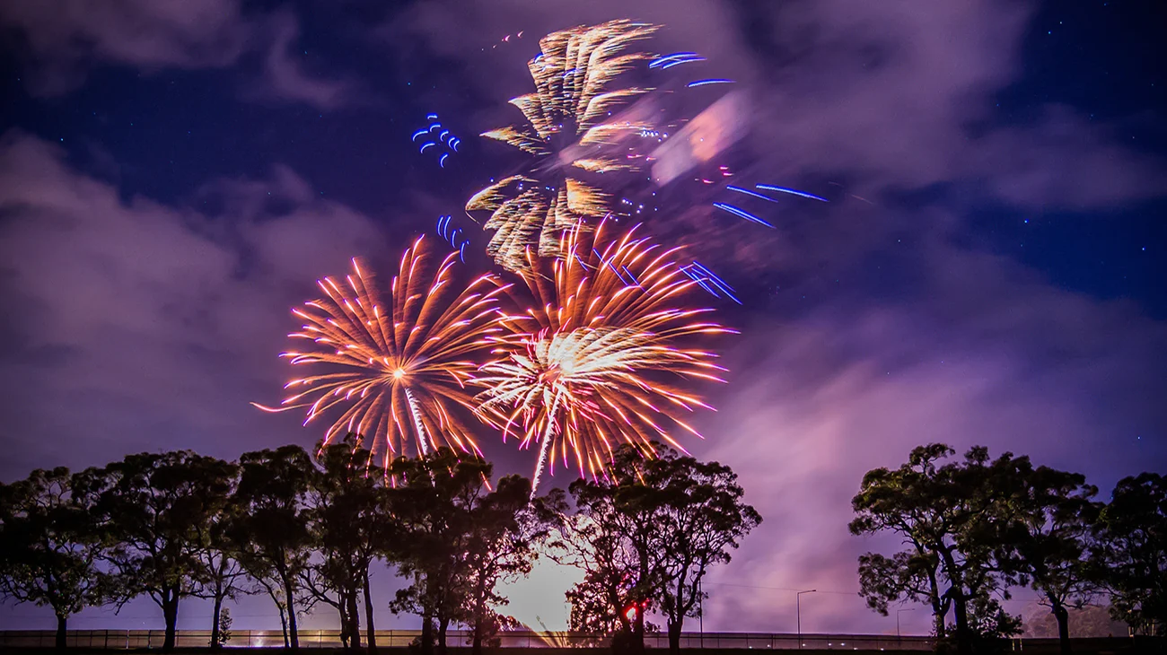 Preparing Your Horses For Fireworks Season - The Chronicle of the Horse