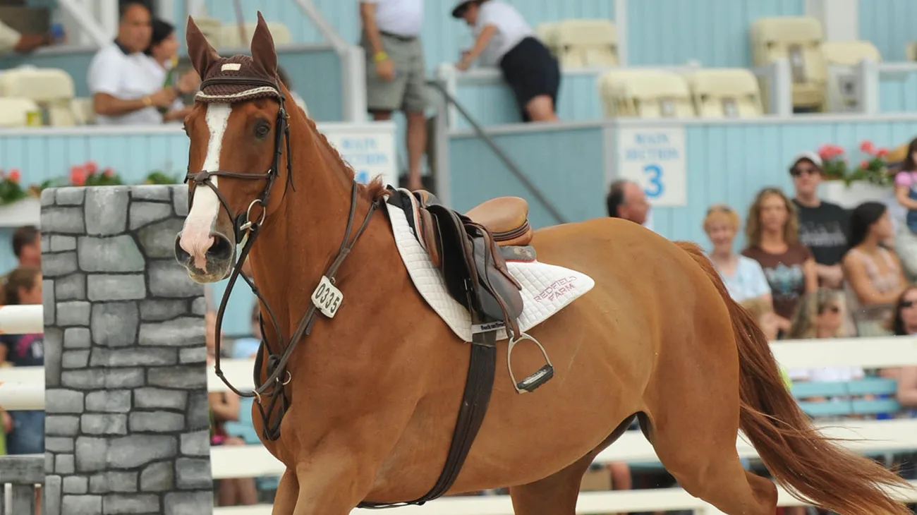Your Funniest Horse Show Moments - The Chronicle of the Horse