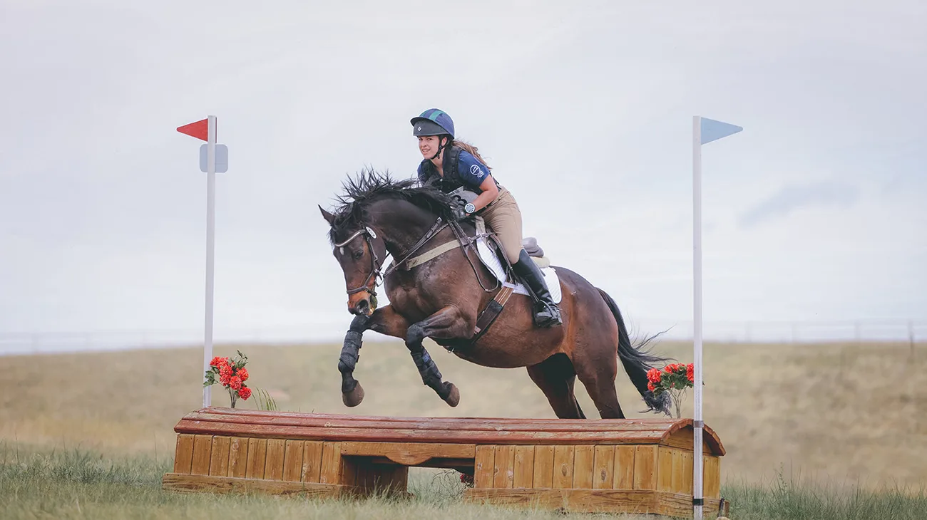 Aged TB Proves He's Tougher Than A Lion After Big-Cat Attack - The ...