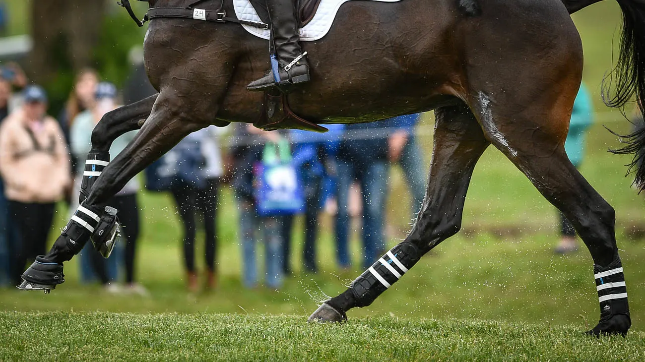 USEF Announces Host Of 2026-2027 USEF Eventing Young Rider ...