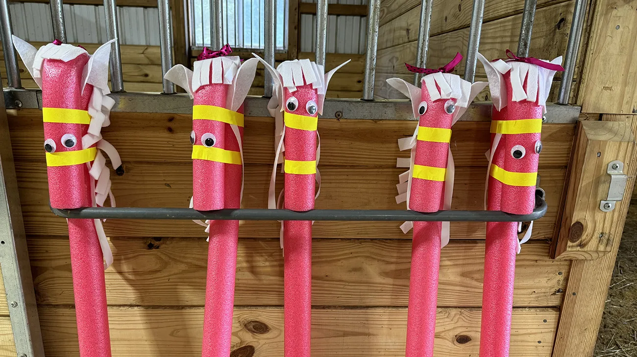 Putting Horses First At Horse Camp - The Chronicle of the Horse