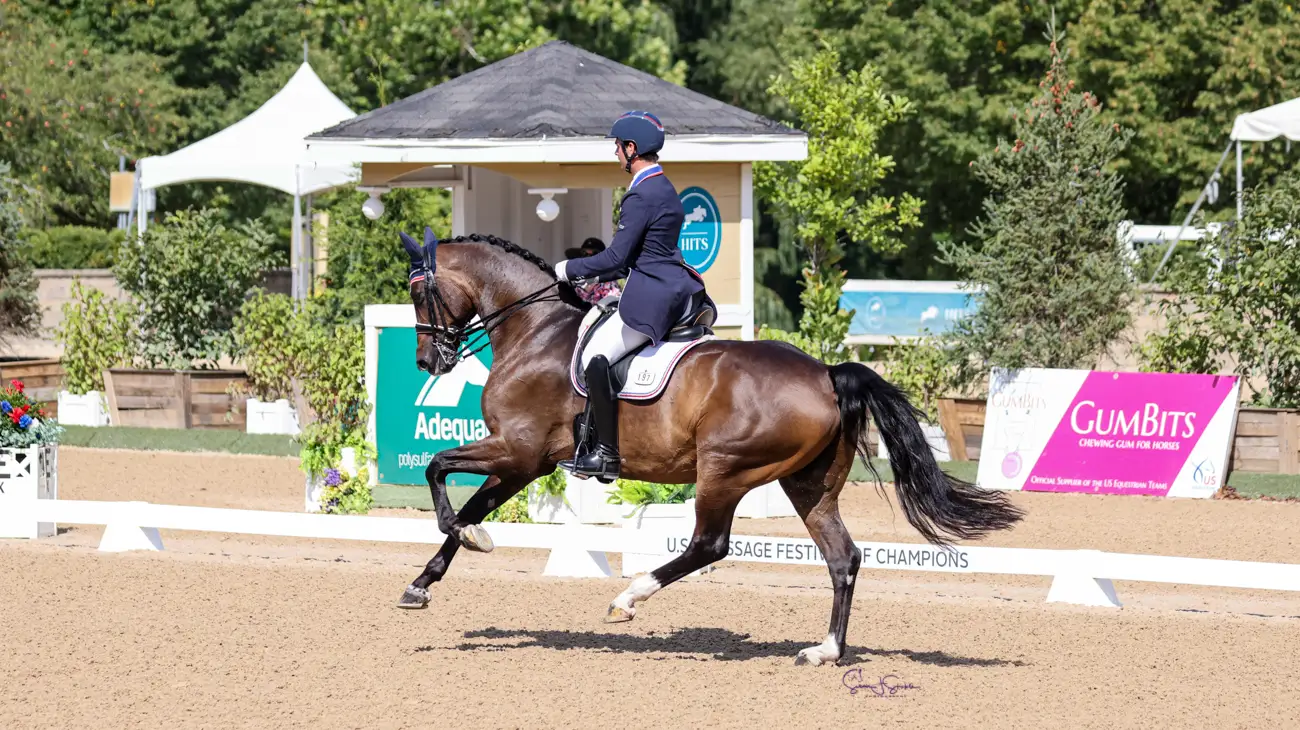 Simonson Wins First Leg Of Brentina Cup At Festival Of Champions - The ...