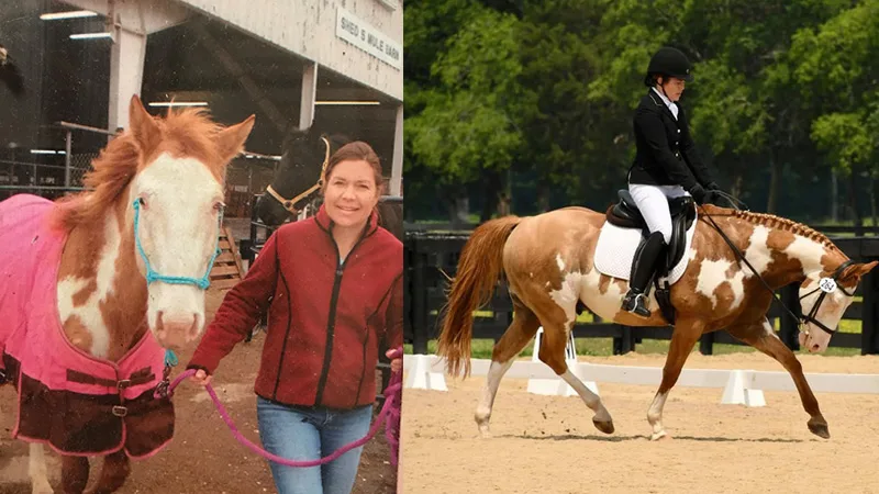 From Rescue To Ribbons: Charlie’s Life Lessons - The Chronicle of the Horse