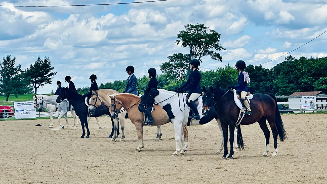 Lessons From The Show Ring - The Chronicle of the Horse