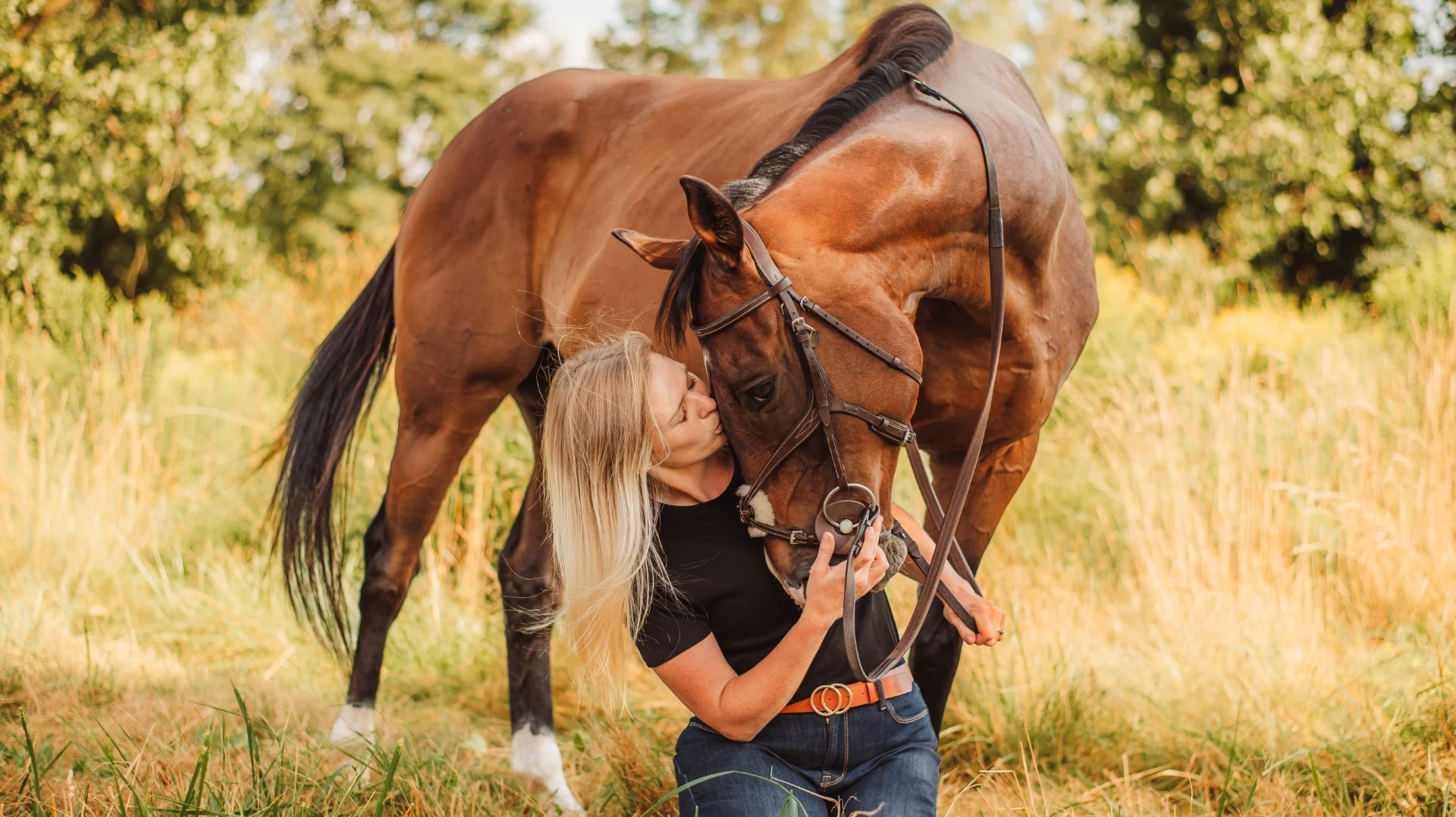 'Everybody's Favorite' Eye Of The Cat Faces The Thoroughbred Makeover ...