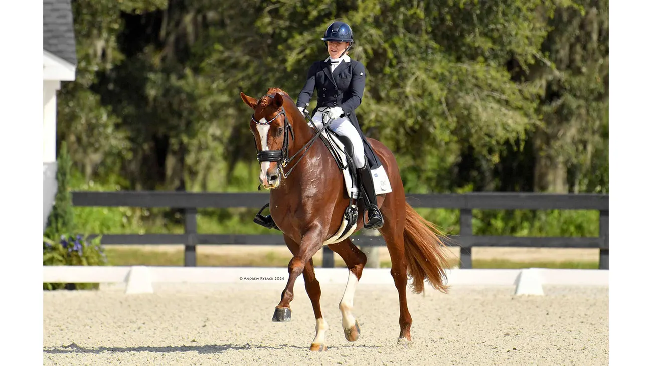 From Groom To Rider: O’Brien Earns TDF Grant To Campaign Fortunato H20 ...