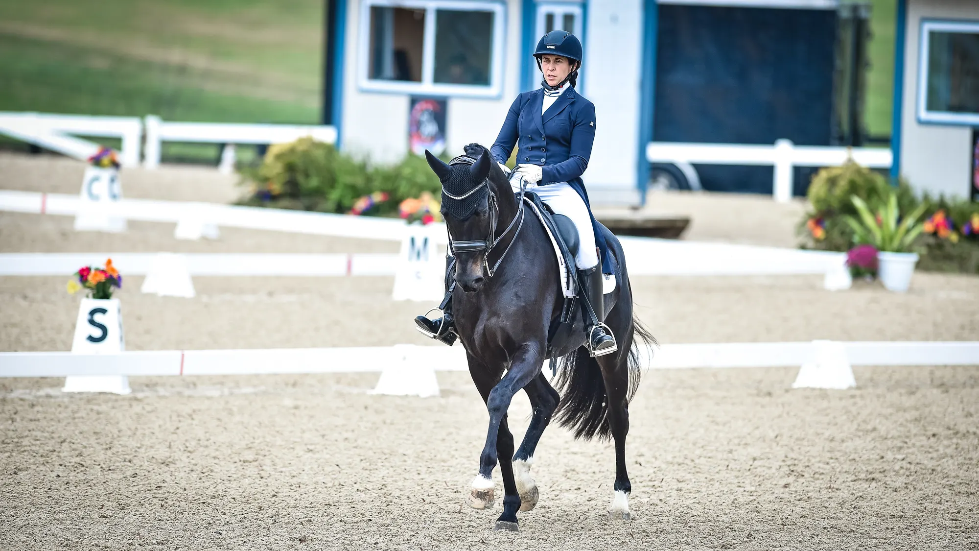 Fleming-Kuhn Brings Franzsis HSR From Foal To Finals Win - The ...