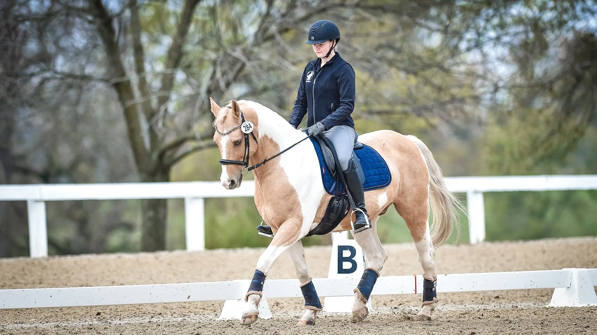 Spotted All-Arounder Brings Young Rider To Her First US Dressage Finals ...
