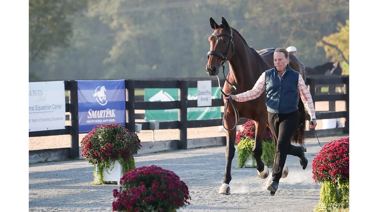 USEA Adult Amateur Of The Year Arden Wildasin Is Planning Her 5* Debut ...