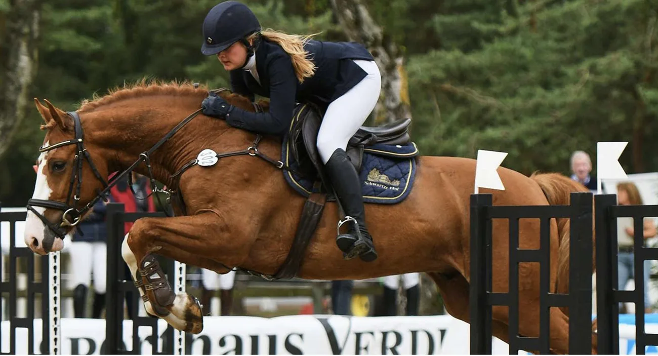 Babylon: The Making Of A Superstar - The Chronicle of the Horse