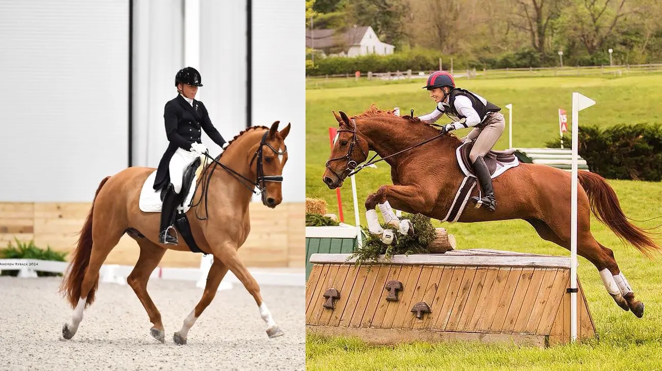 Dressage Rider And Her Erstwhile Eventer Eye Grand Prix - The Chronicle ...