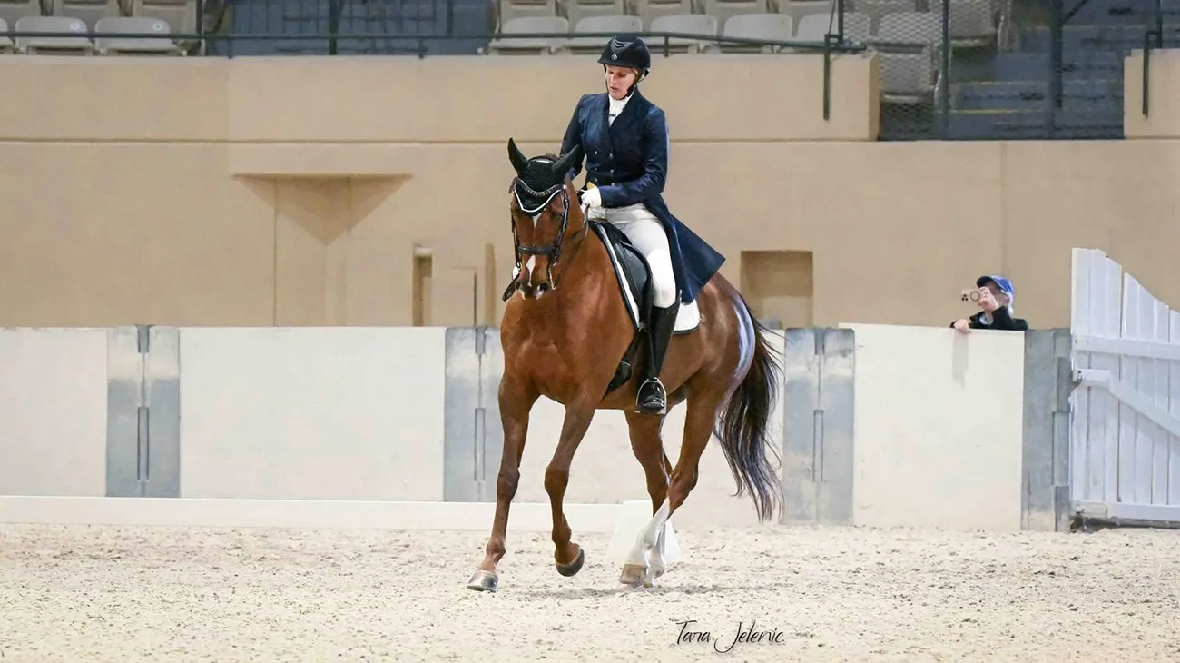 Thoroughbred Fan Earns USDF Gold Medal On Her Former RRP Entry - The ...