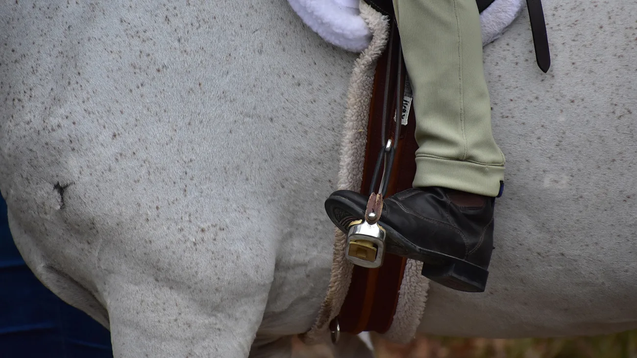 Opinion: How To ‘StirrUp’ Riding Instructors Everywhere - The Chronicle ...