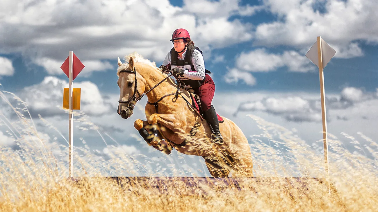 Prison-Trained Mustangs Carry Vermont Couple To AEC And Beyond - The ...