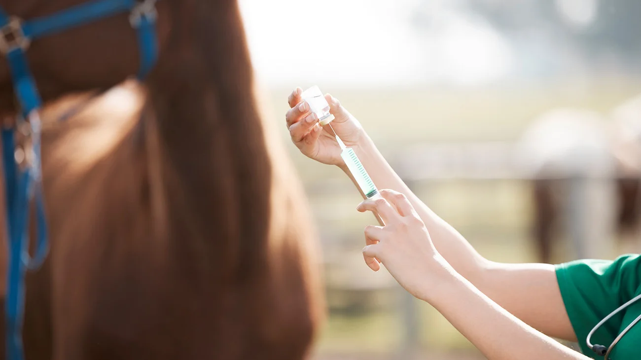 USEF Targets Barbiturates, SARMs And Anticonvulsants In Hair-Testing ...
