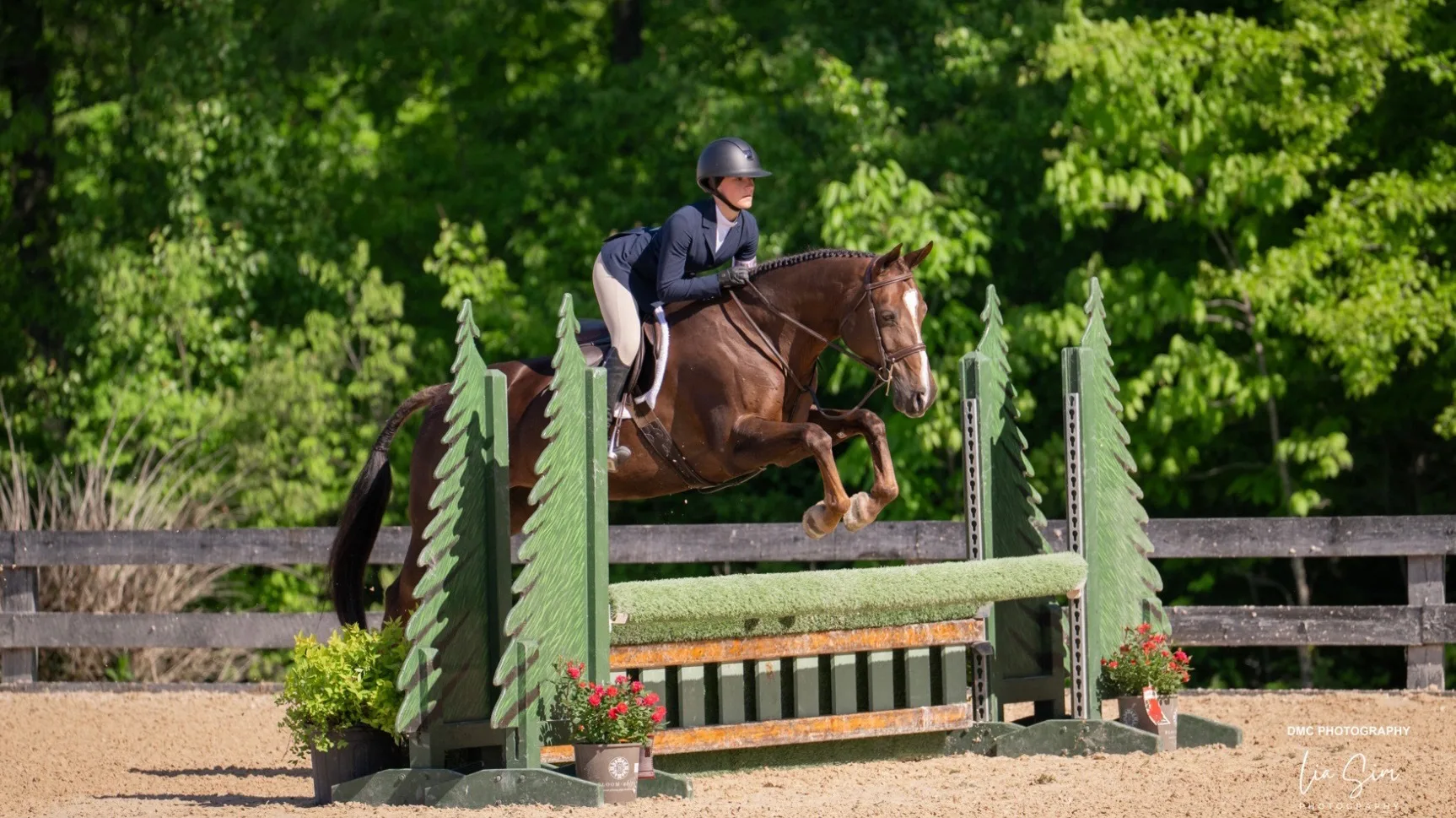 From Setbacks To Show Ring: Grit Pays Off With Long-Awaited Pony Finals ...
