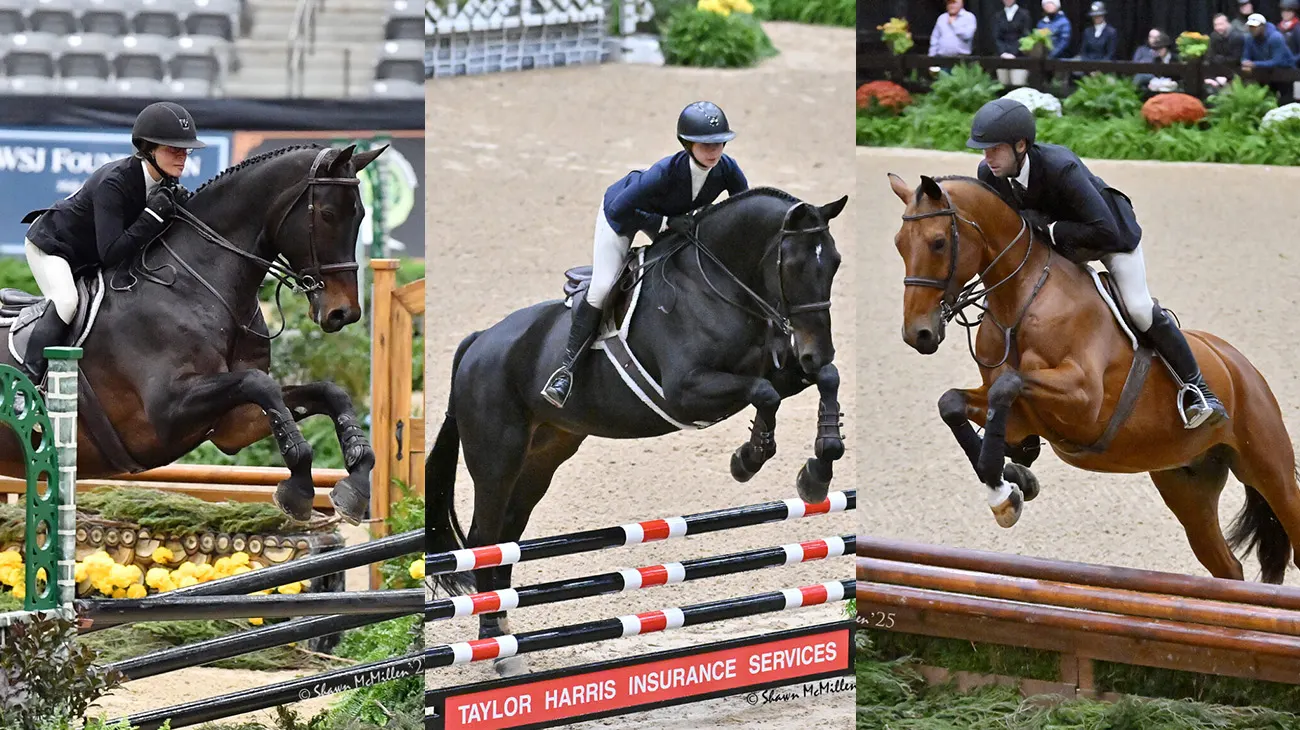 THIS Adult Equitation Championships Take Center Stage At National Horse ...