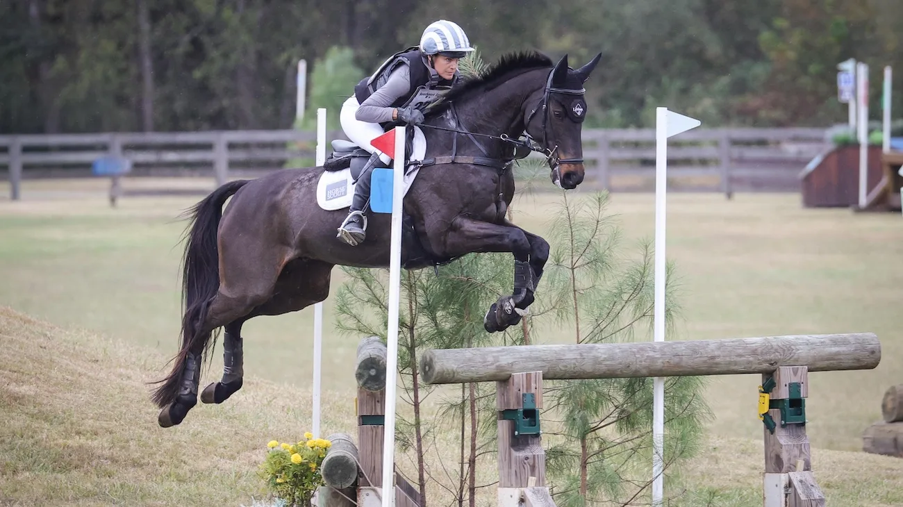 Bellissimo And Dyri Reset From CCI5* Attempt To Build A Winning Autumn Season - The Chronicle of ...