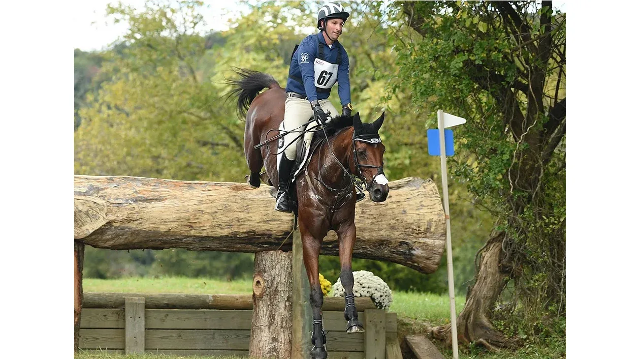 Andrew McConnon horse abuse - Page 76 - Eventing - Chronicle Forums