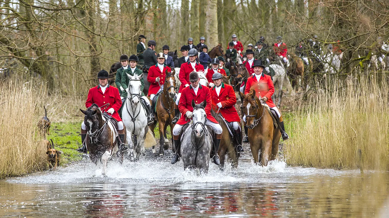 A Foxhunter's Guide To The World - The Chronicle of the Horse