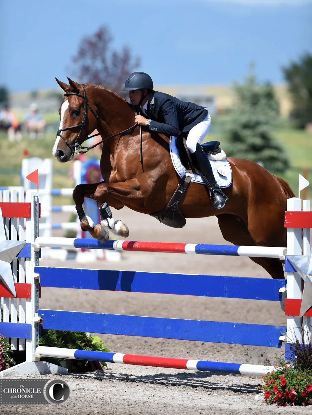 One To Watch: Alexis Helffrich Is Headed To Fair Hill Via France ...