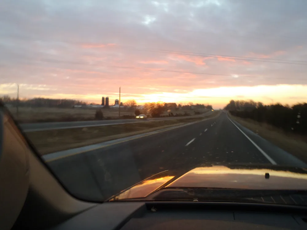 The Sunny South - The Chronicle of the Horse